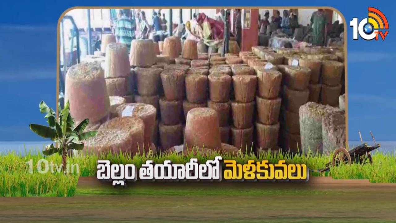 Jaggery Making : బెల్లం తయారీలో మెళకువలు.. నాణ్యమైన బెల్లం దిగుబడులకు ...